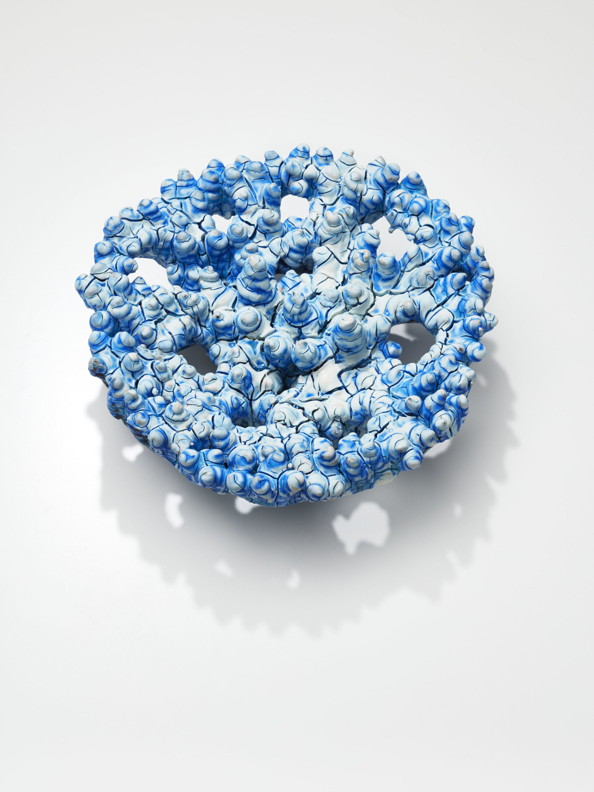 Trophy Blue – Leiga